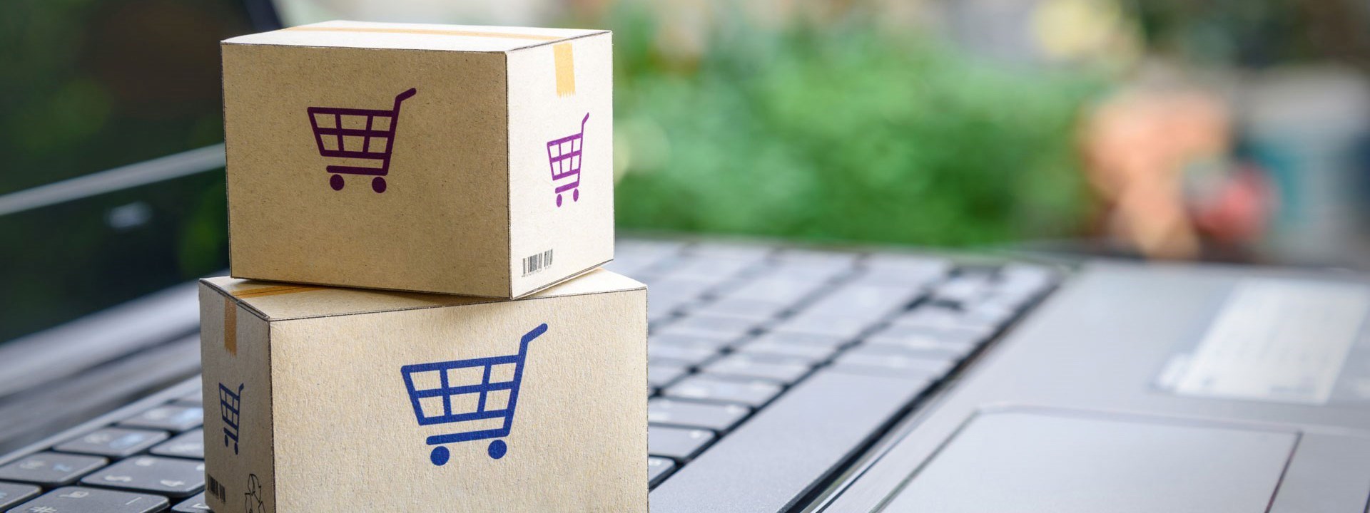 Procurement Services & Support | Procurement Hub